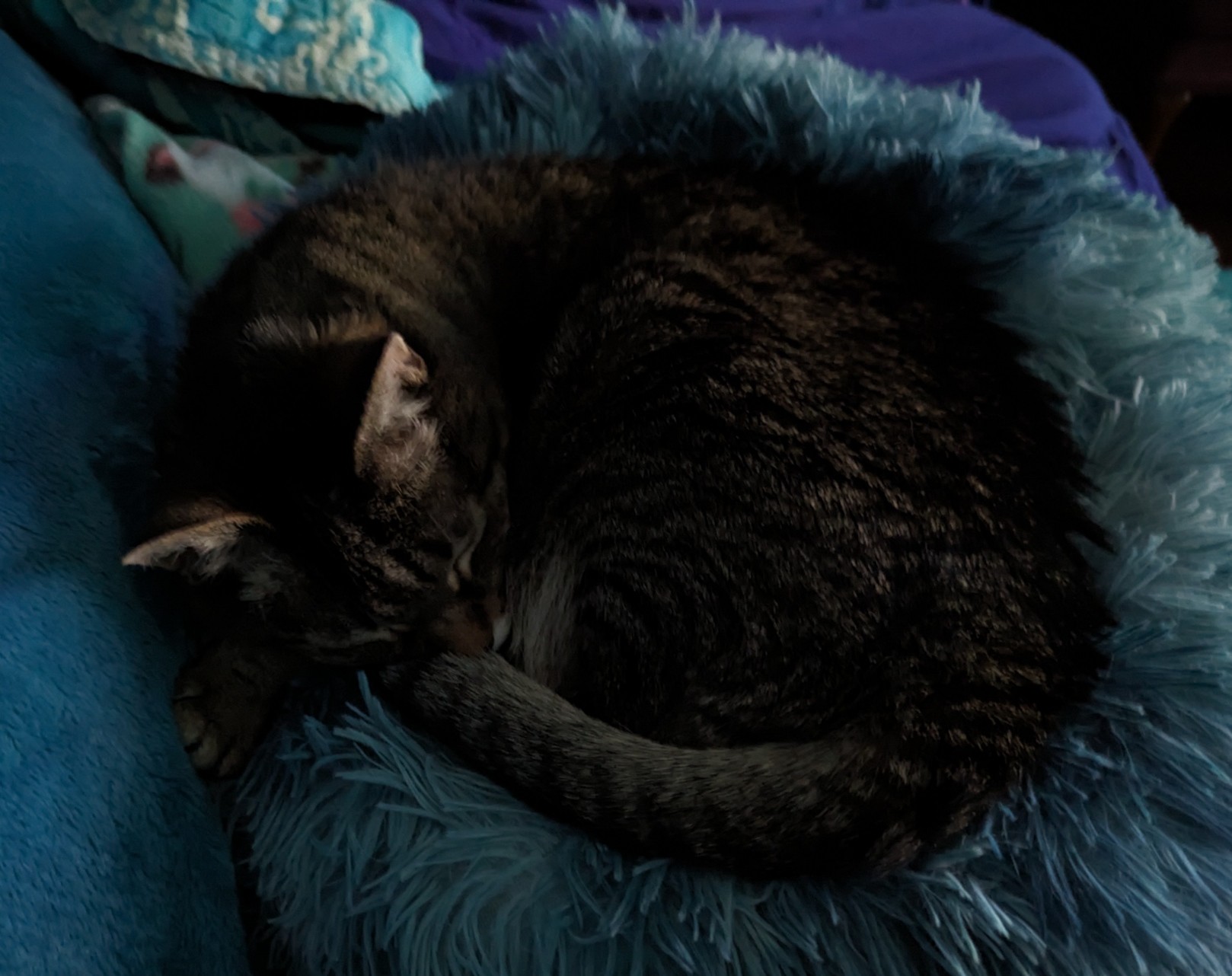 KindlyWizard (@KindlyWizard@girlcock.club) - Girlcock.club