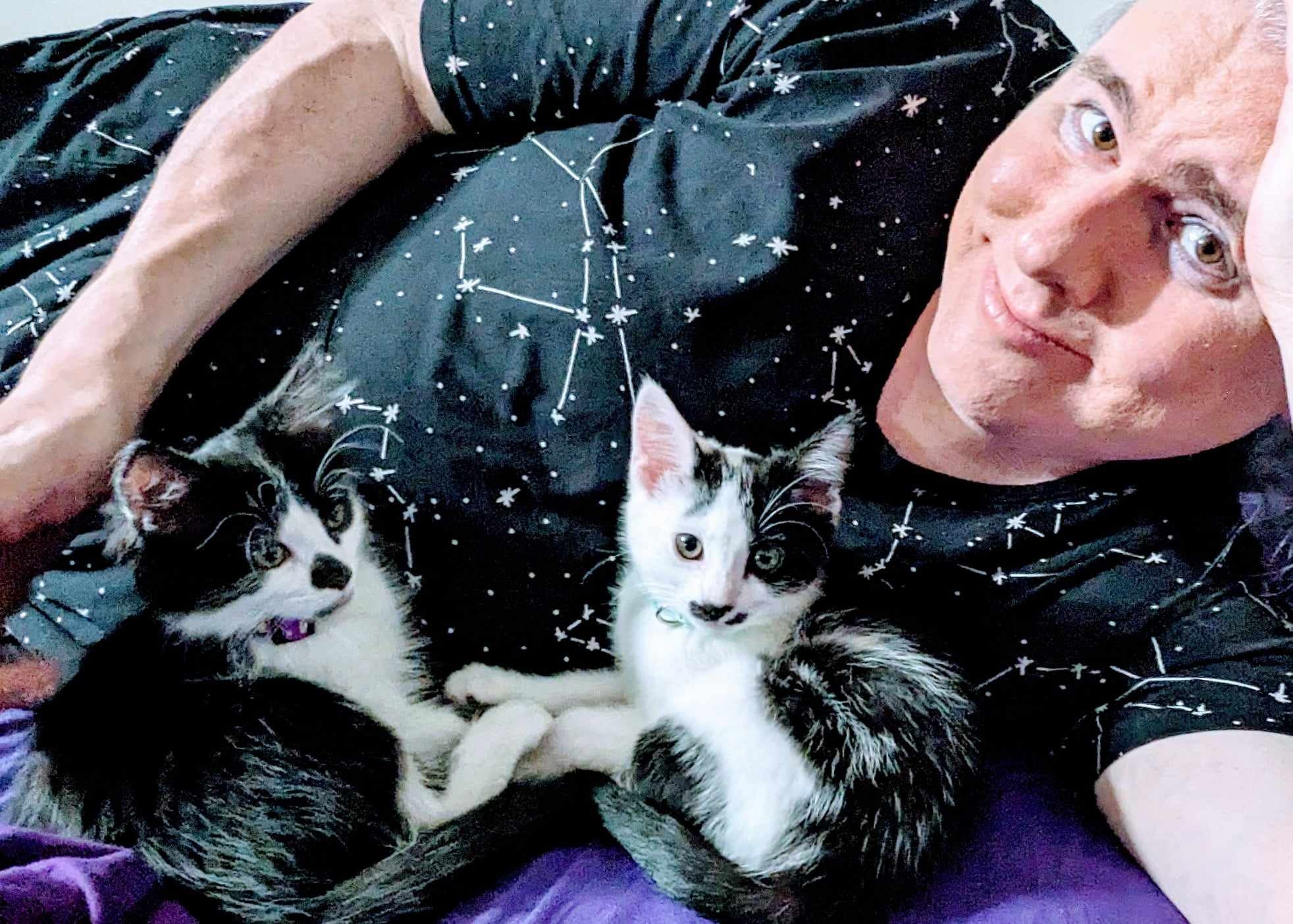 Tranic Witchy Dream Gwen (@KindlyWizard@girlcock.club) - Girlcock.club