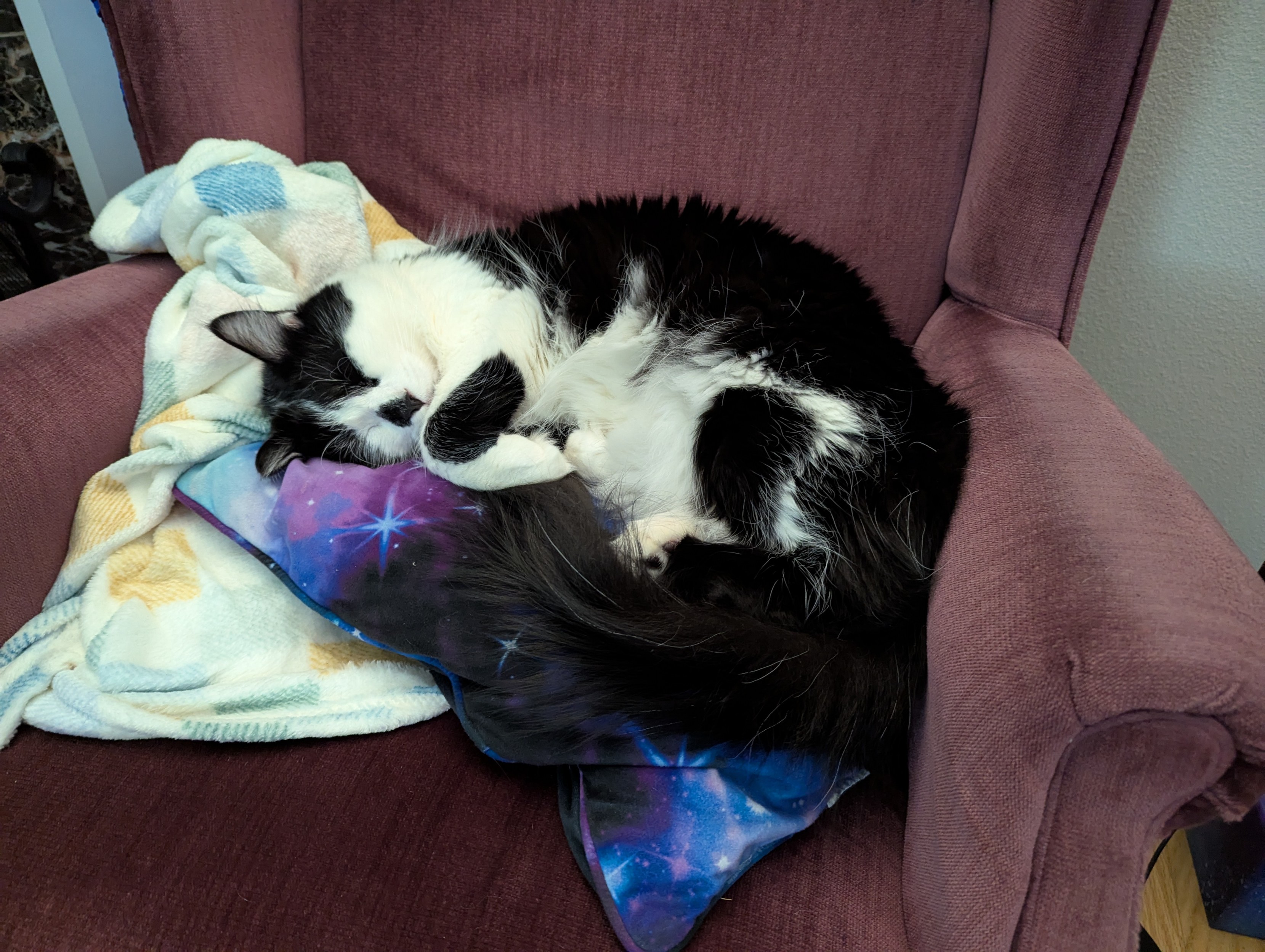 Blue Witch Gwen (@KindlyWizard@girlcock.club) - Girlcock.club