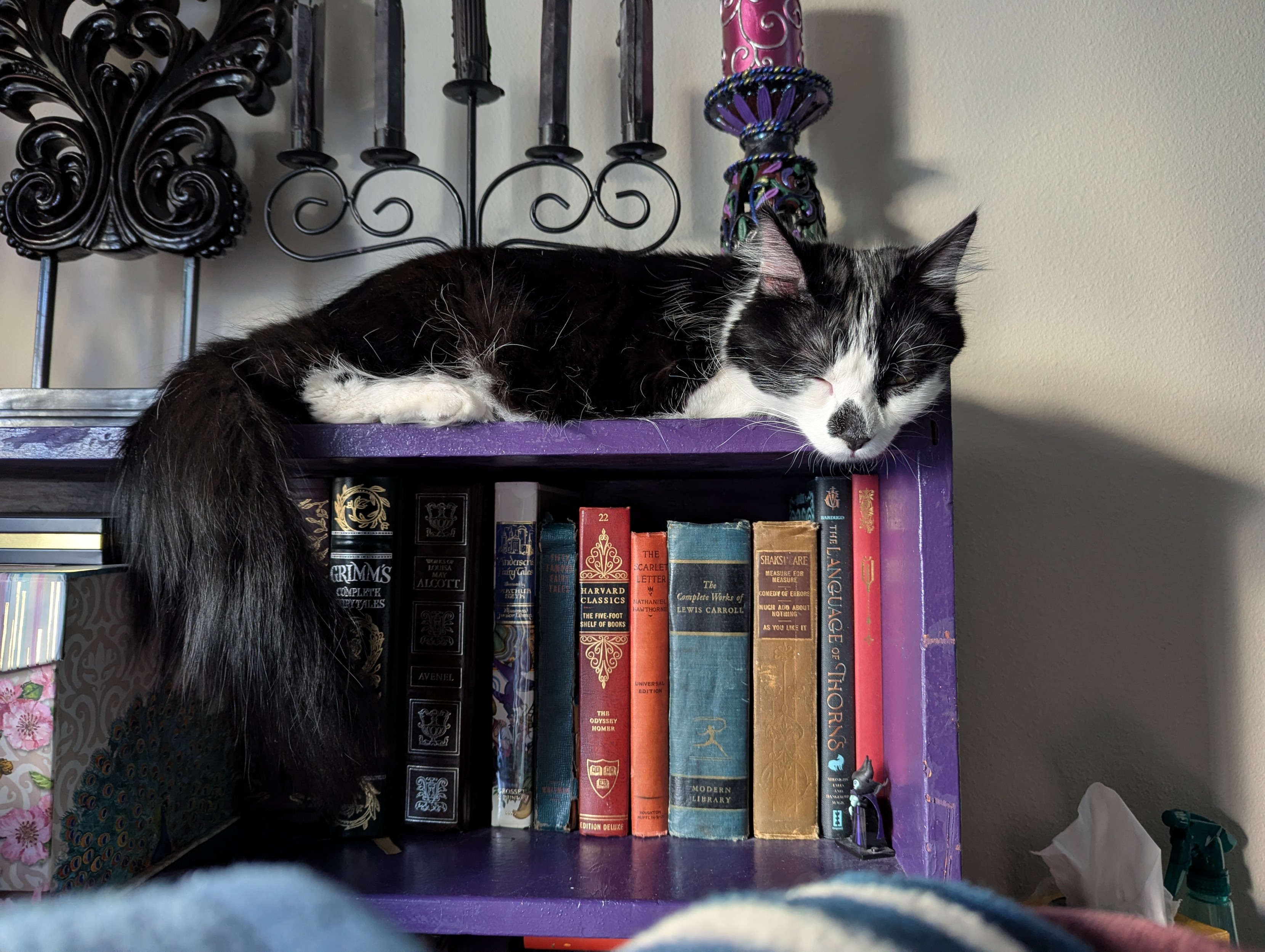 Blue Witch Gwen (@KindlyWizard@girlcock.club) - Girlcock.club